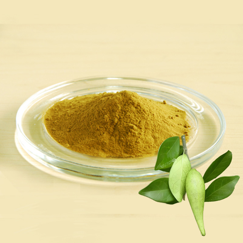 Gymnema Sylvestre Extract - HANGZHOU SHENGSHU BIOTECH CO.,LTD